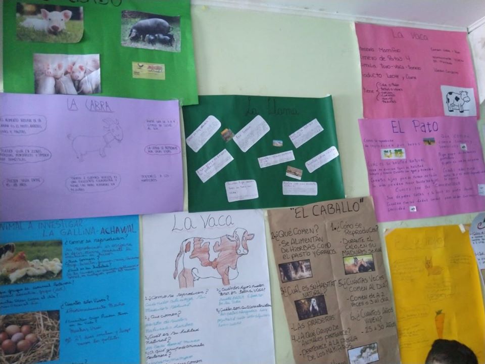 Proyecto La Granja - Escuela Pedro de Valdivia